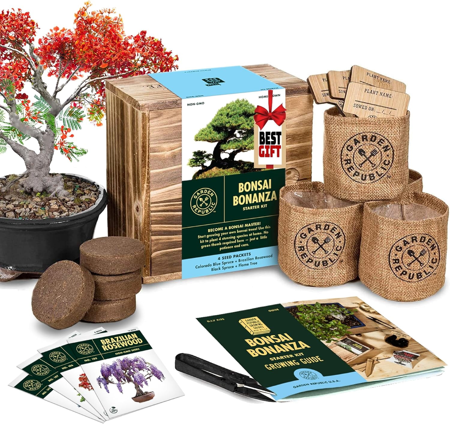 Bonsai Tree Kit - Grow 3 Mini Bonsai Trees, Indoor Plant Growing Kit ...