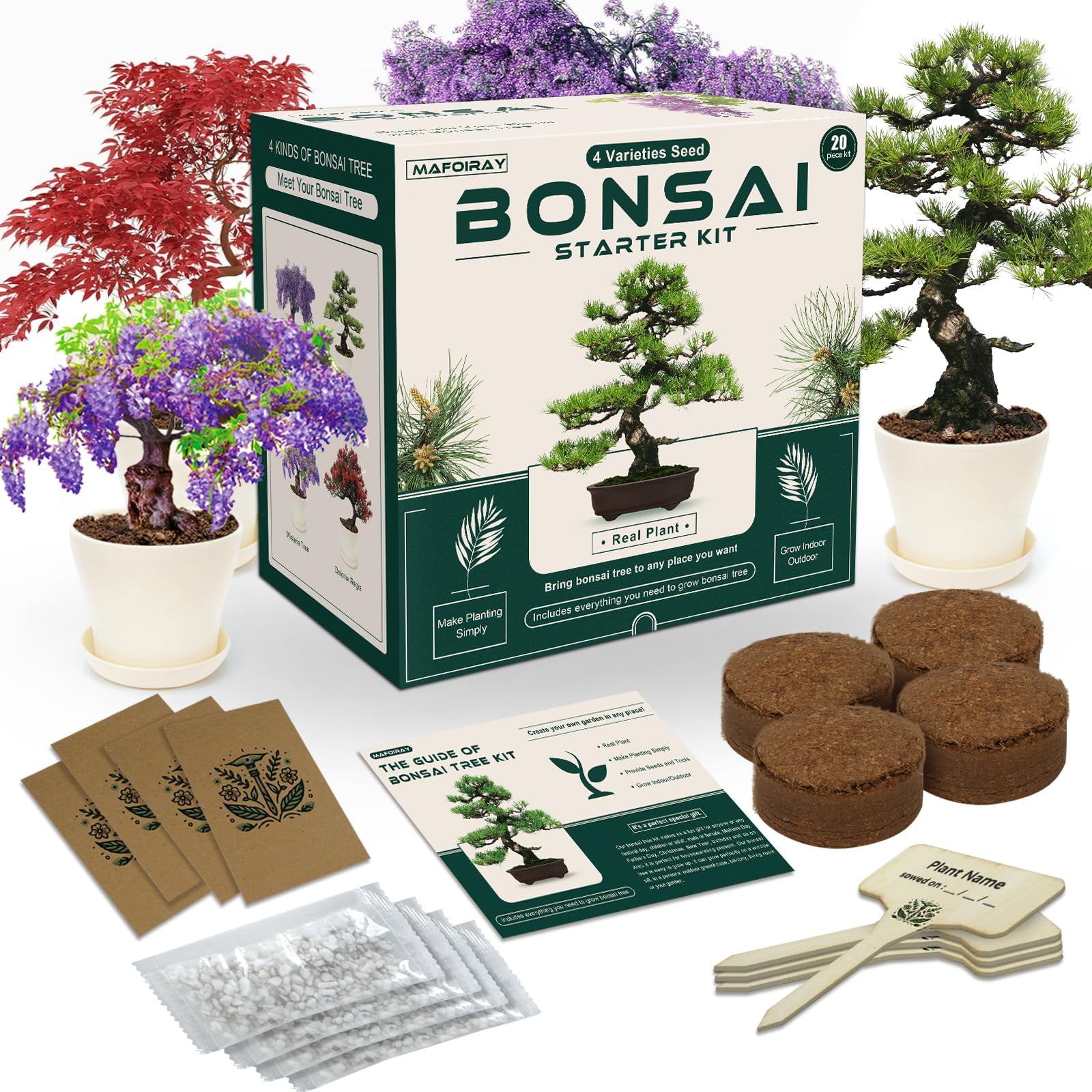 Bonsai Tree KitsUMRT - Starter with Tools, 4 Kinds of Tree Seeds, Soil ...