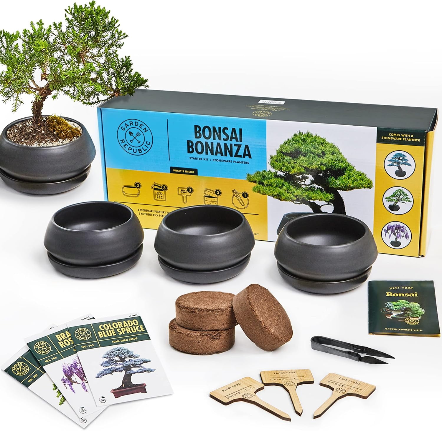 Bonsai Tree Seed Starter Kit - Mini Bonsai Plant Growing Kit, 3 Types ...