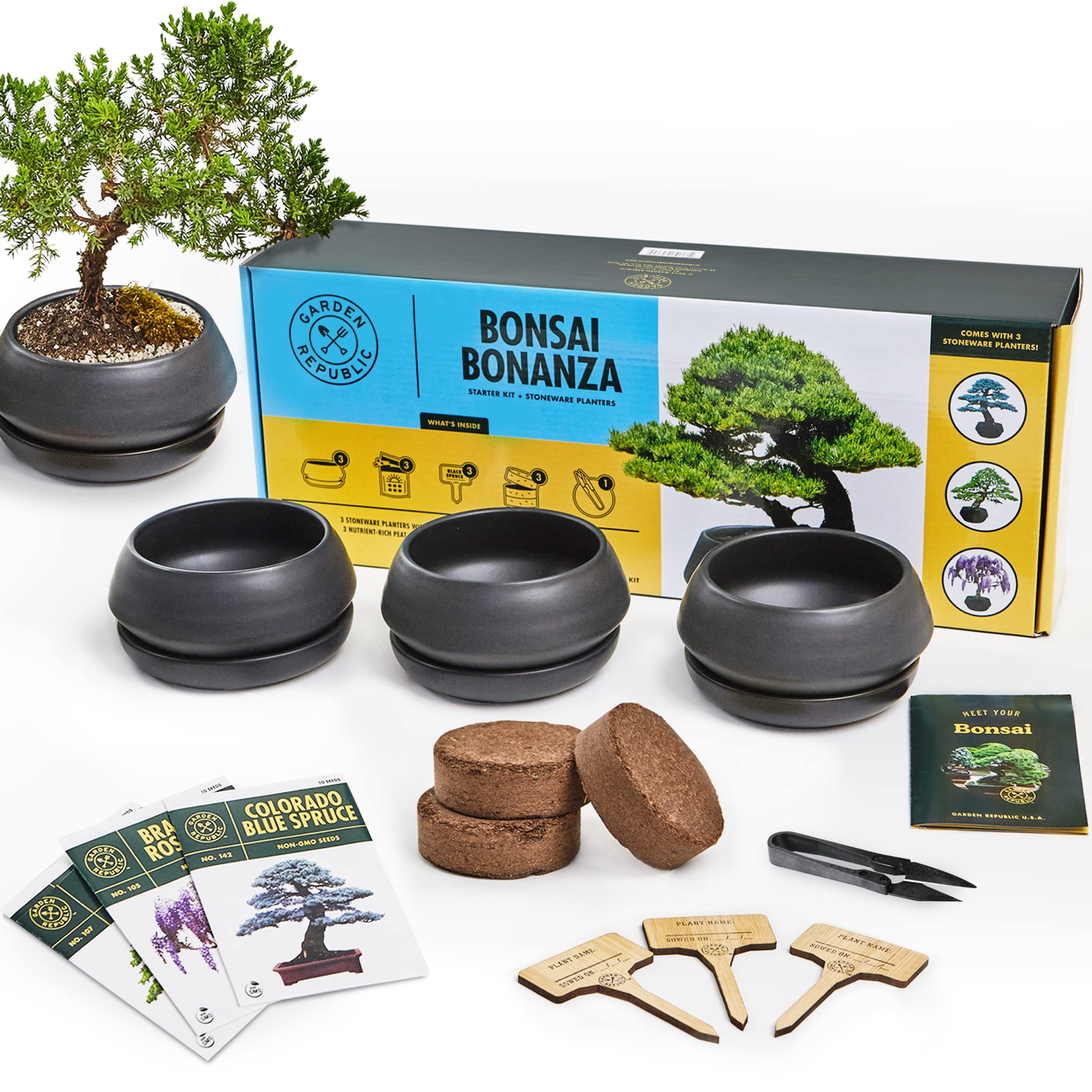 Bonsai Tree Seed Starter Kit - SMRMini Bonsai Plant Growing Kit, 3 ...