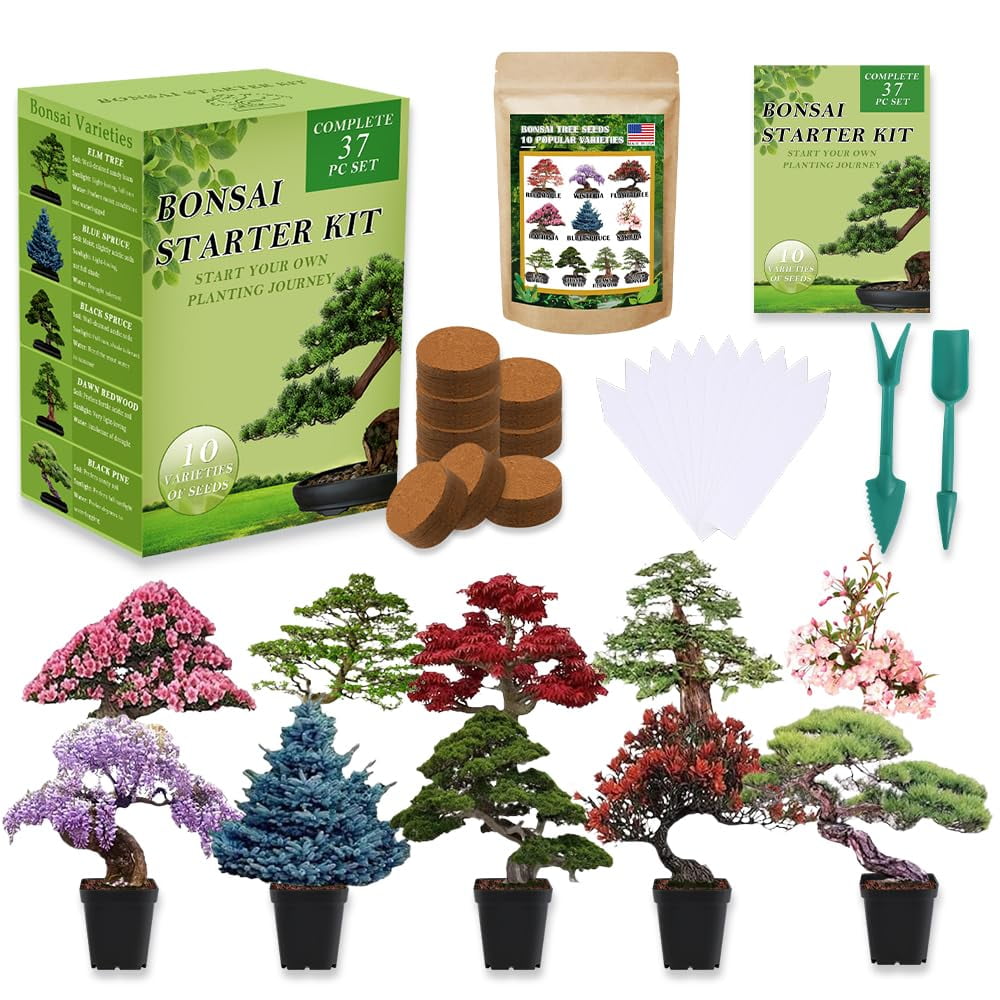 Bonsai Tree Seeds Kit 10 Popular MVR1 Varieties Soil Pots Plant Markers ...
