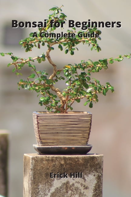Bonsai for Beginners: A Complete Guide - Walmart.com