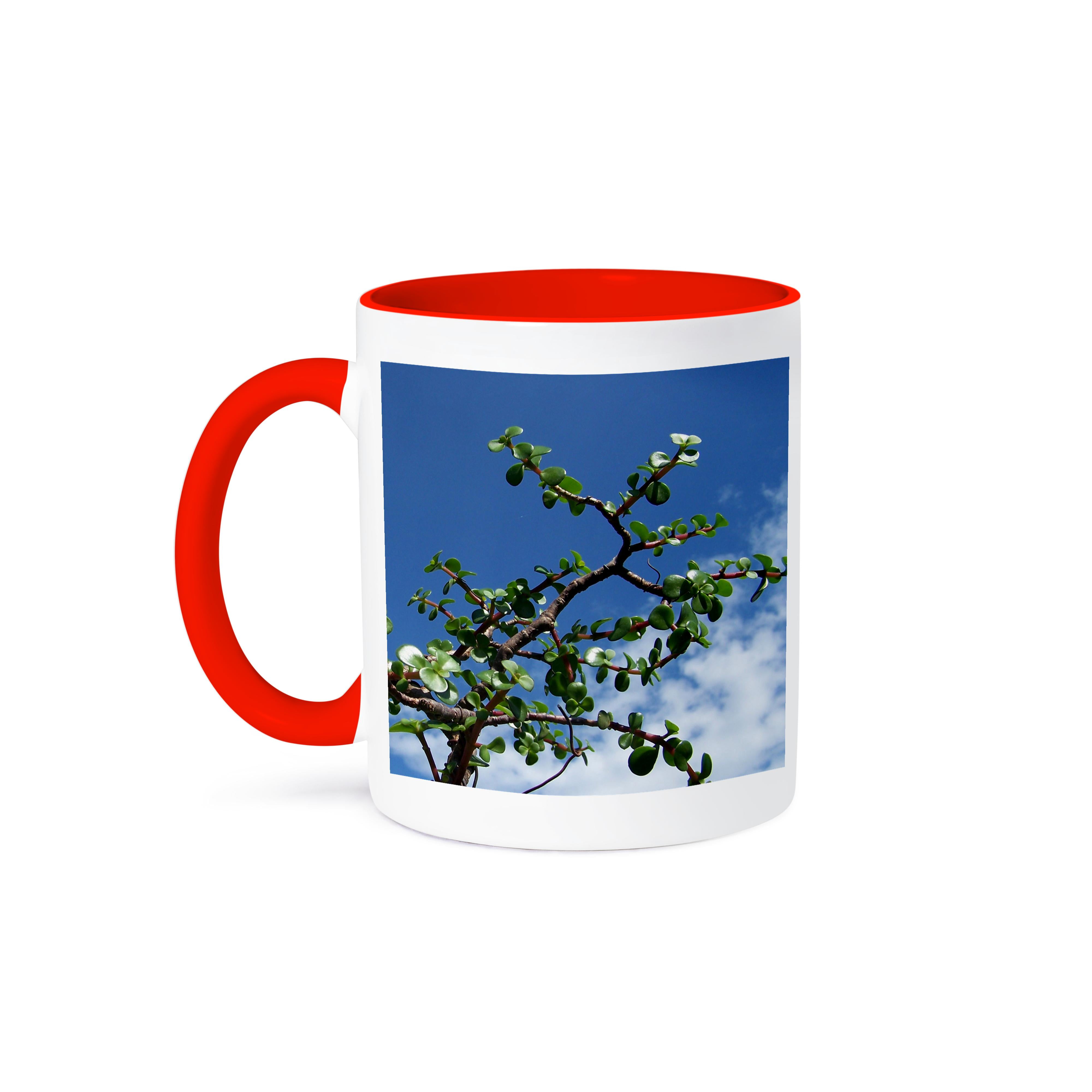 3dRose, Bonsai portulacaria afra tree 2, 11oz Two-Tone Red Mug ...
