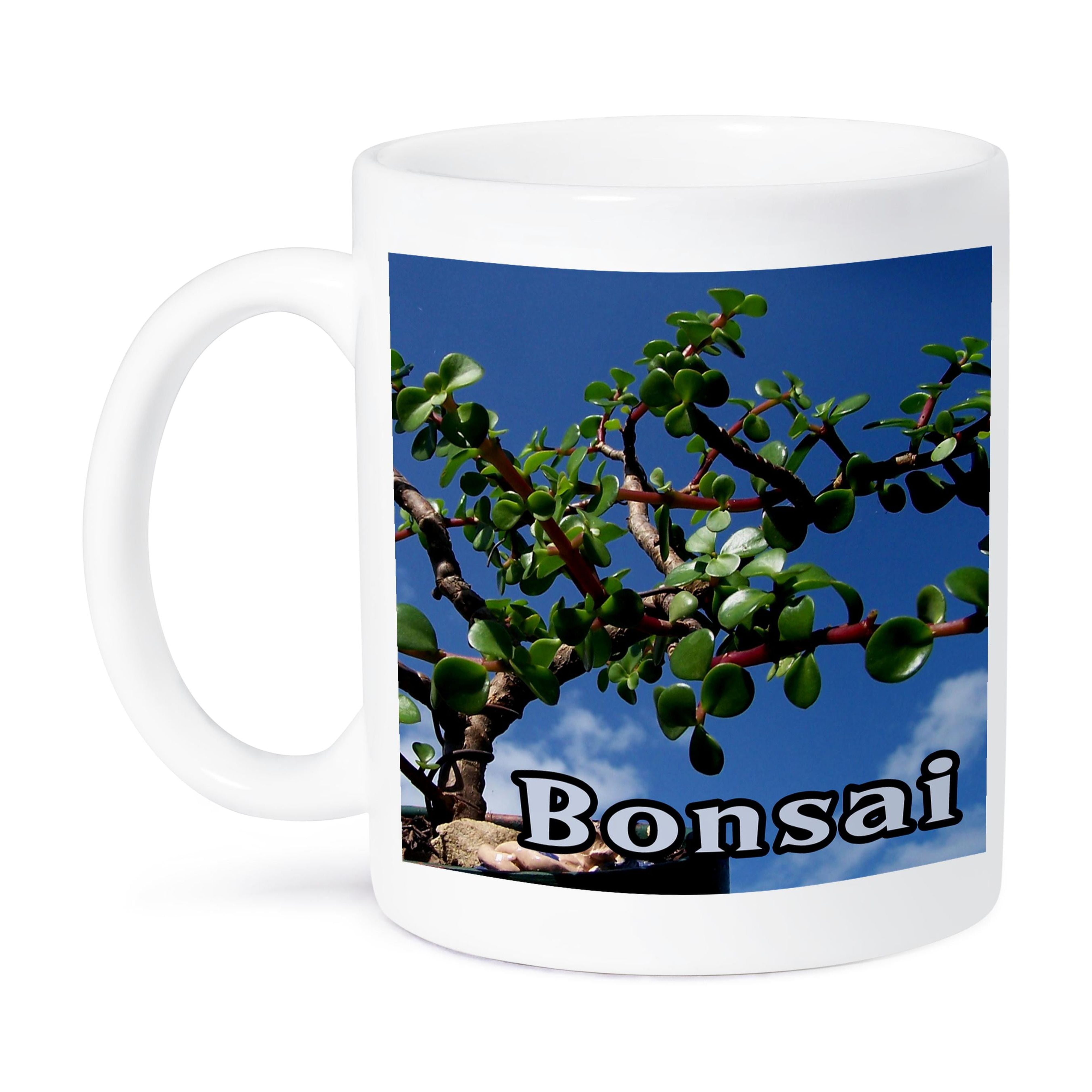 3dRose, Bonsai w text photograph portulacaria afra tree 1, 11oz Mug ...