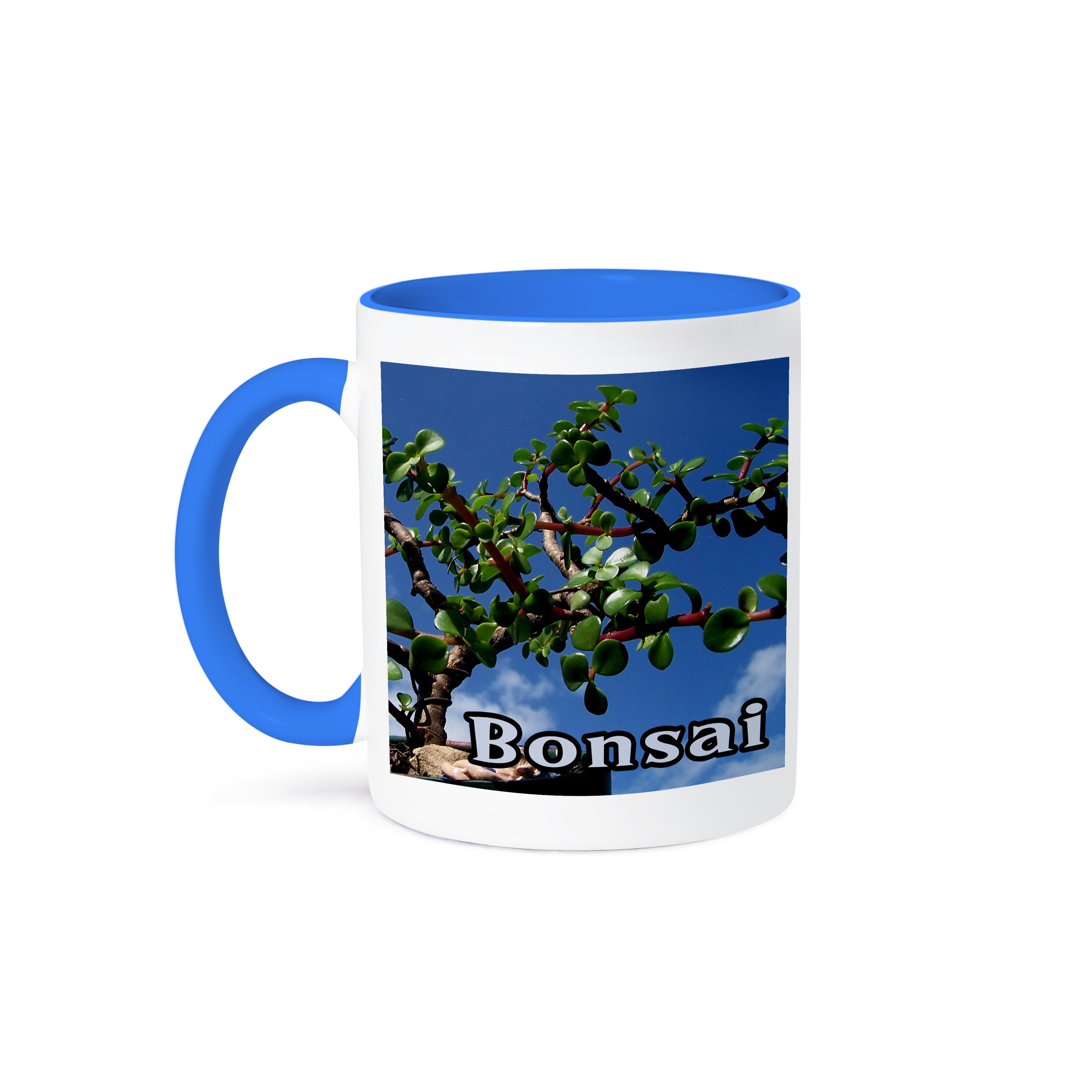 3dRose, Bonsai w text photograph portulacaria afra tree 1, 11oz Two ...