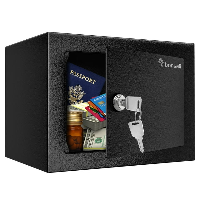 Bonsaii 0.22 Cubic Feet Small Safe with Key Lock, Security Hidden Safe ...