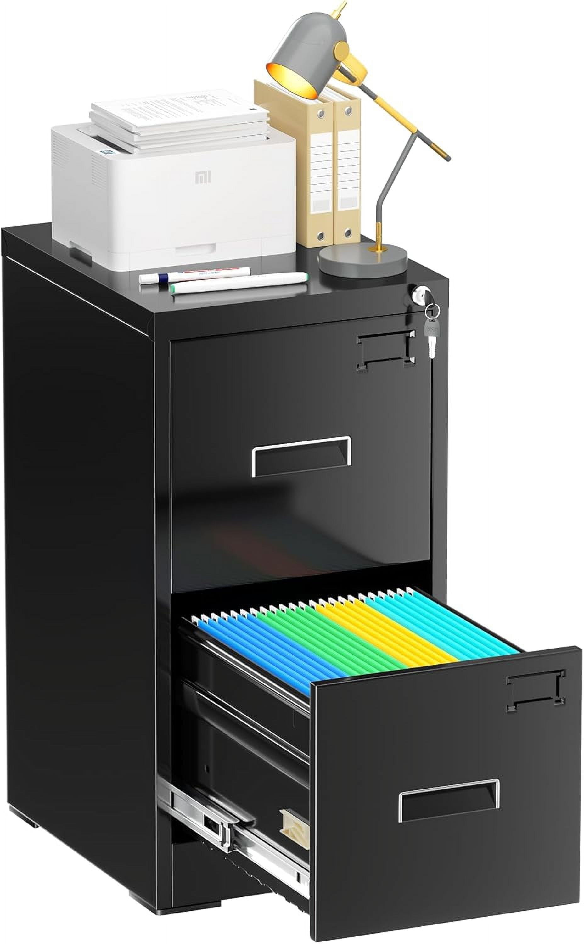 Bonusal Vertical l File Cabinet 2 Drawer, Metal Lateral Filing Cabinet ...