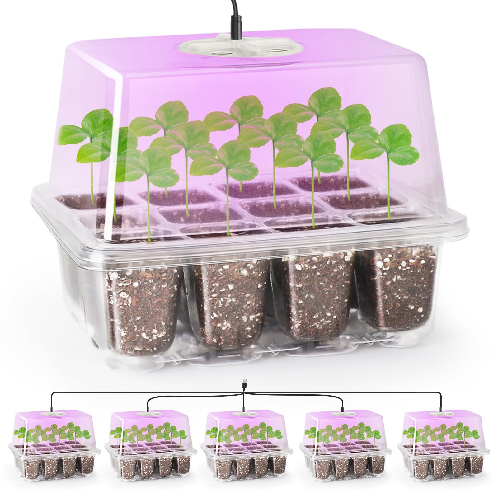 Bonviee 5 Packs Seed Starter Tray MVR1 with Grow Elevated Seedling ...