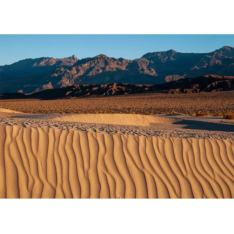 Bonvvie Photography Background Natural Desert Sand Dunes Blue Sky ...