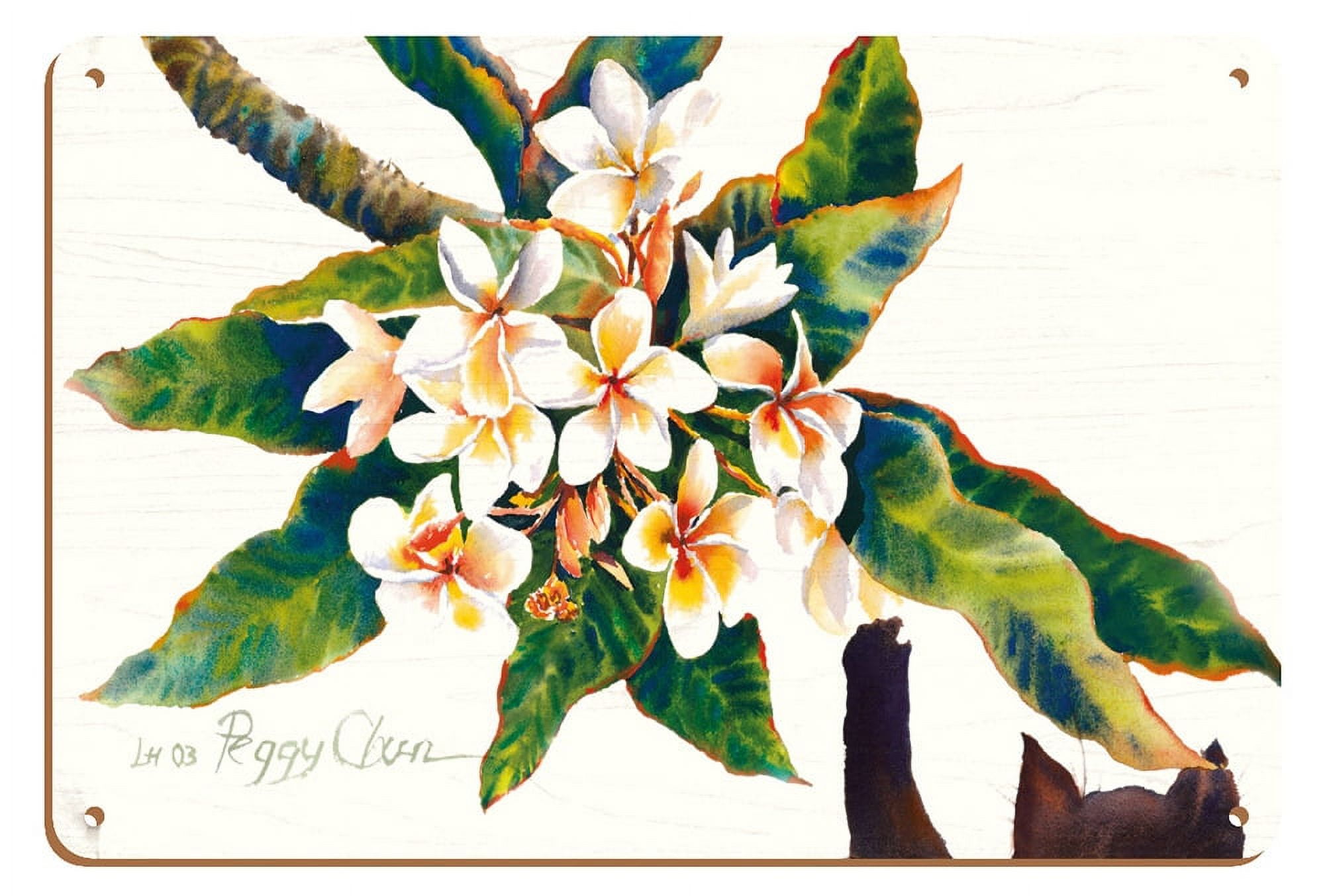 Boo And Plumeria (Pua Melia) - Hawaiian Black Cat (ʻeleʻele Popoki ...