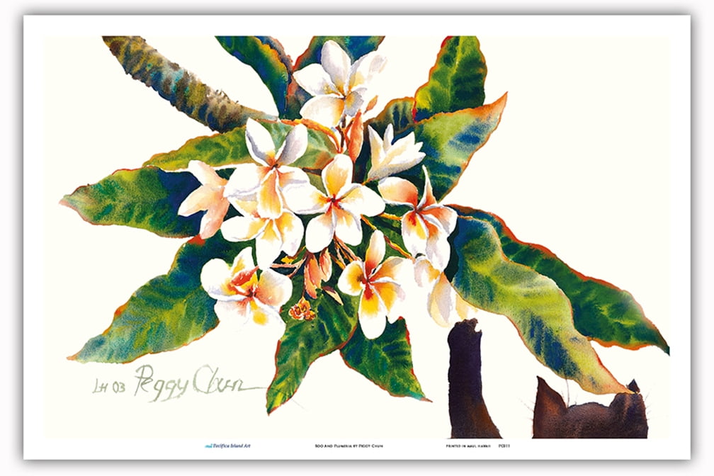 Boo And Plumeria (Pua Melia) - Hawaiian Black Cat (ʻeleʻele Popoki ...