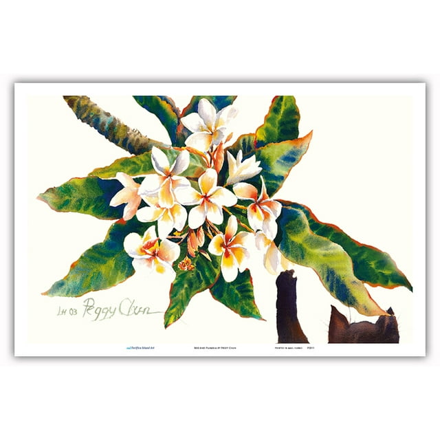 Boo And Plumeria (Pua Melia) - Hawaiian Black Cat (ʻeleʻele Popoki ...