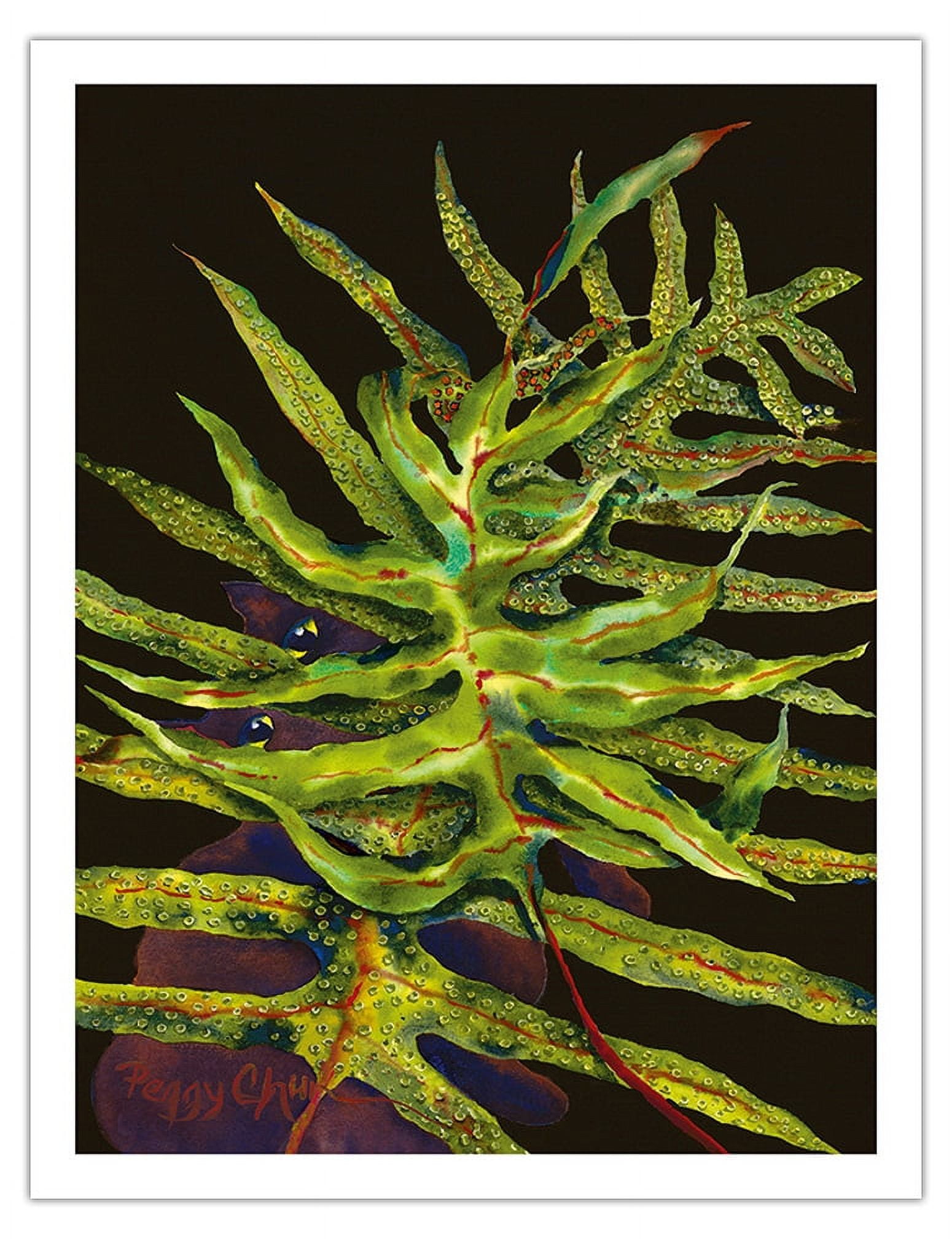 Boo and Laua’e Fern - Hawaiian Black Cat (ʻeleʻele popoki) - From an ...