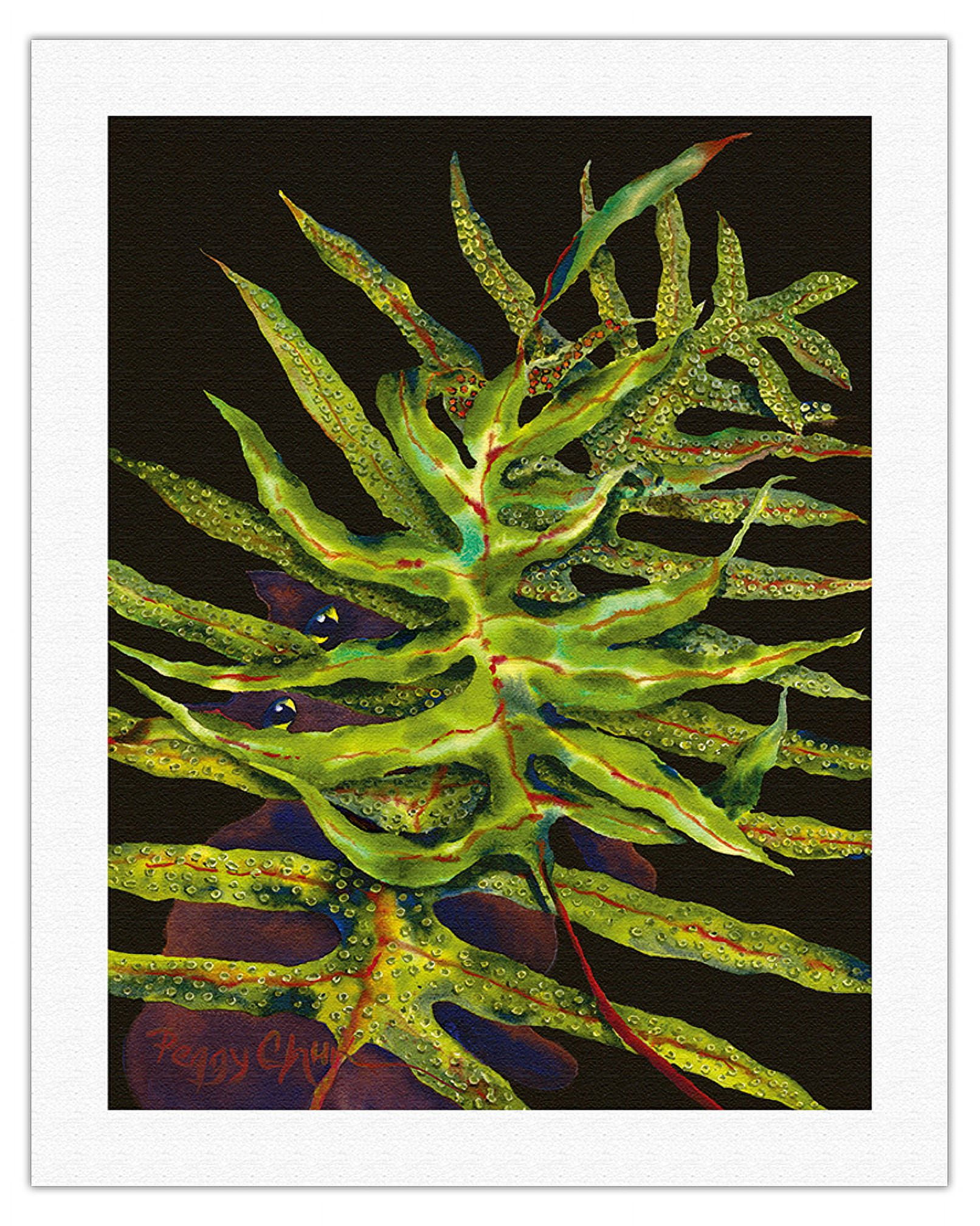 Boo and Laua’e Fern - Hawaiian Black Cat (ʻeleʻele popoki) - From an ...