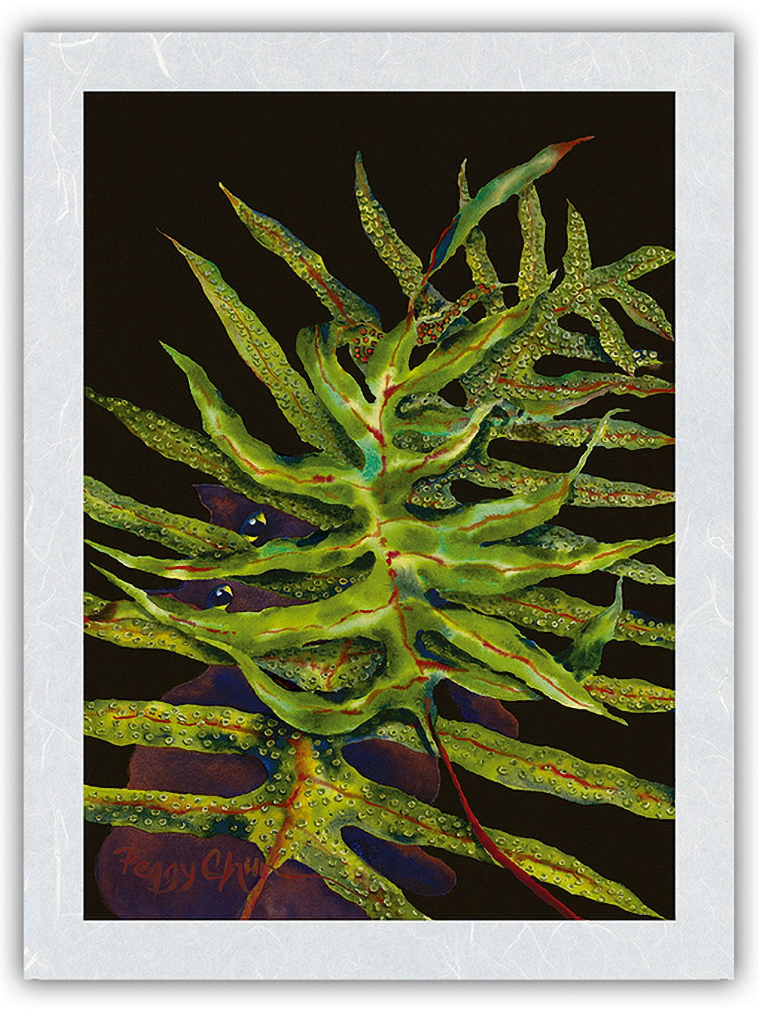 Boo and Laua’e Fern - Hawaiian Black Cat (ʻeleʻele popoki) - From an ...