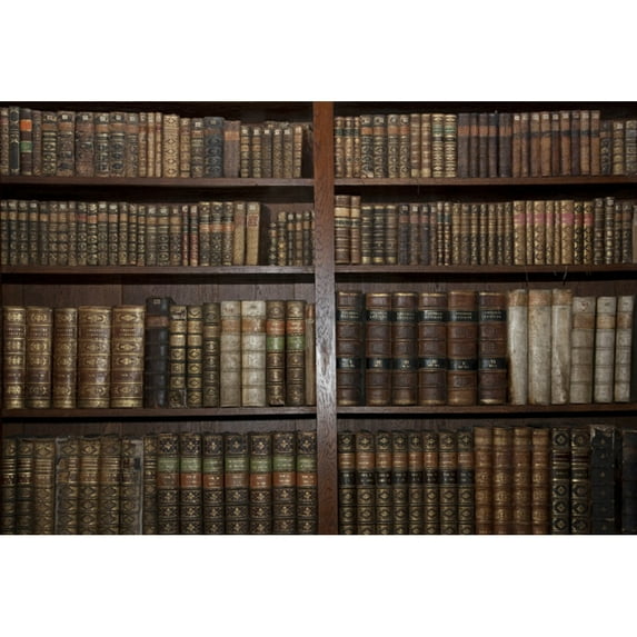 Book Shelf Bookcase Backdrop for Photography Back to School Study ...