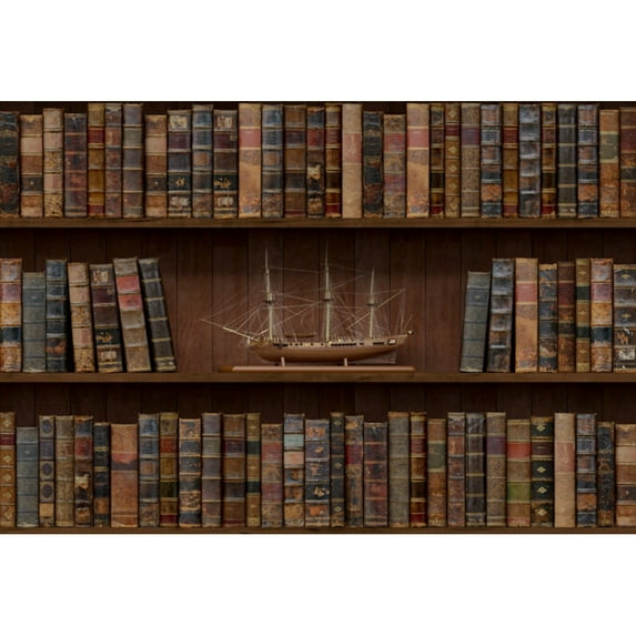 Book Shelf Bookcase Backdrop for Photography Back to School Study ...