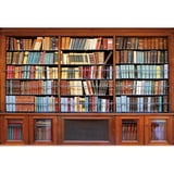 Book Shelf Bookcase Backdrop for Photography Back to School Study ...