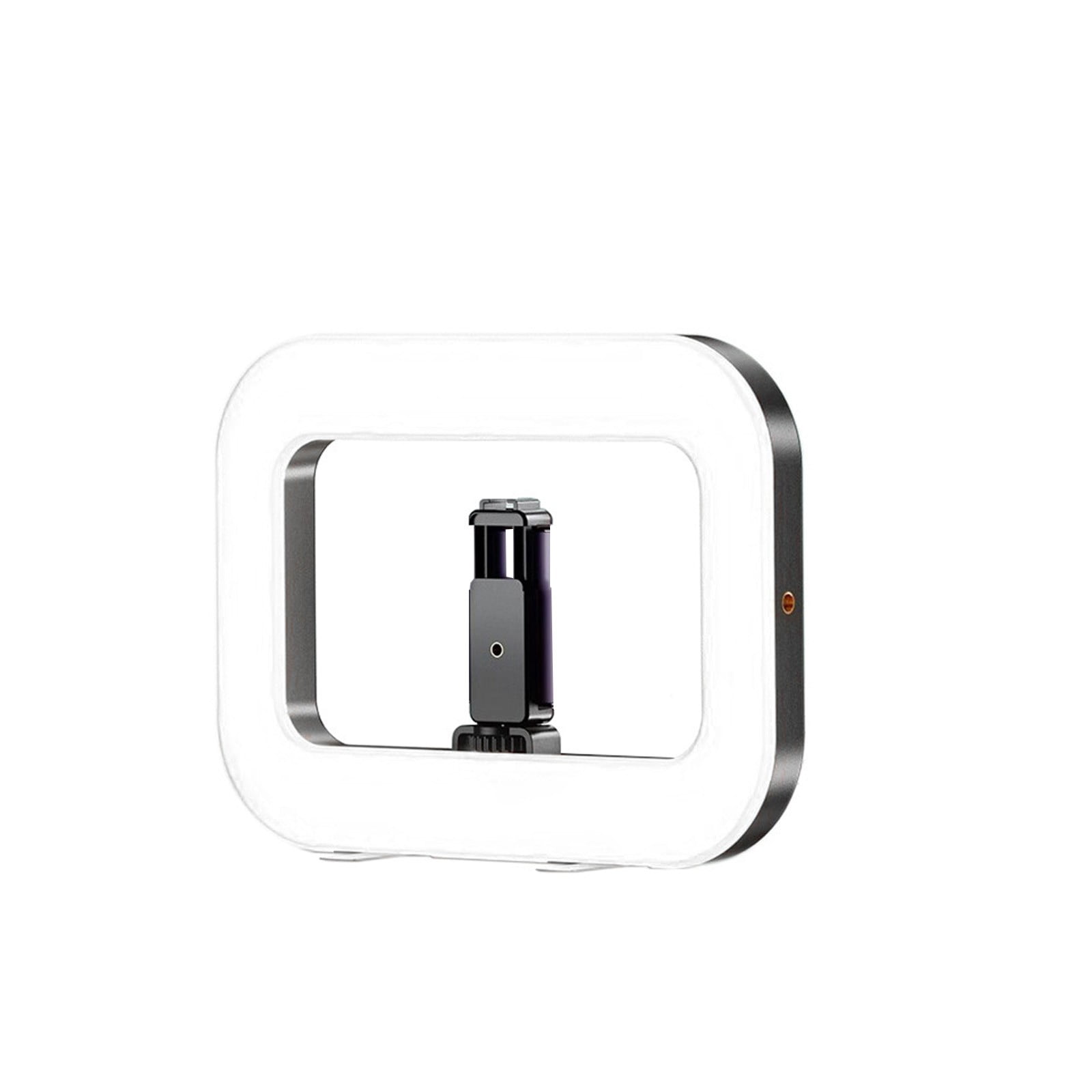 Book Lights Handheld Ring Light, Portable Mobile Phone Live Broadcast ...