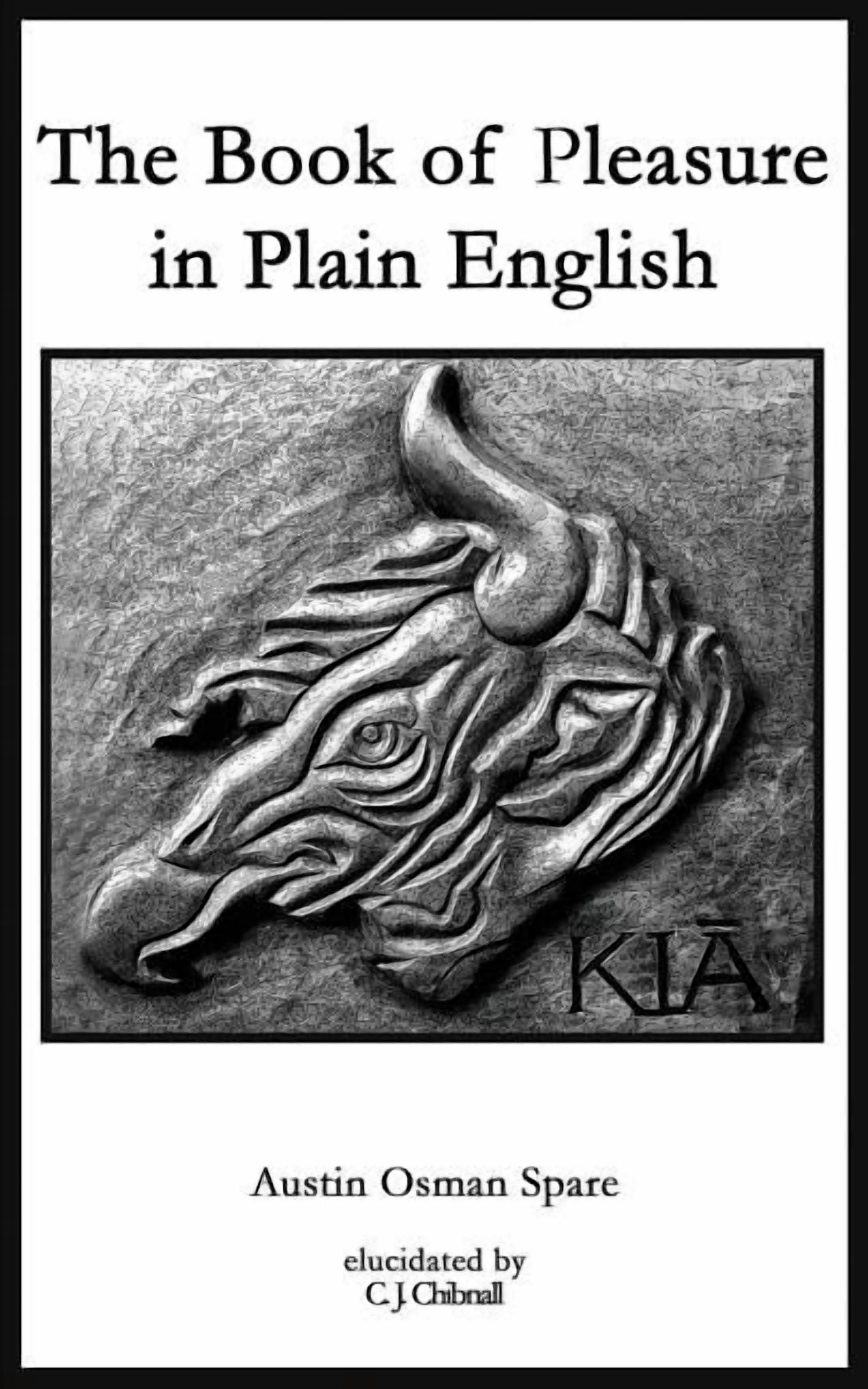 Book of Pleasure in Plain English, (Paperback) - Walmart.com