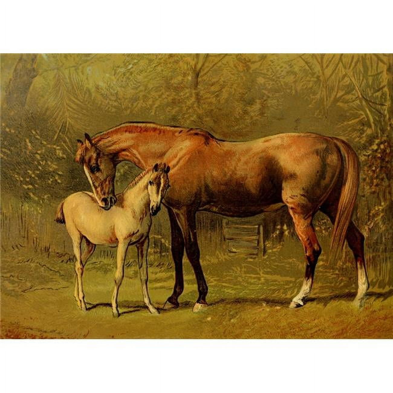 Book of the Horse 1880 Thoroughbred mare and foal Poster Print by ...