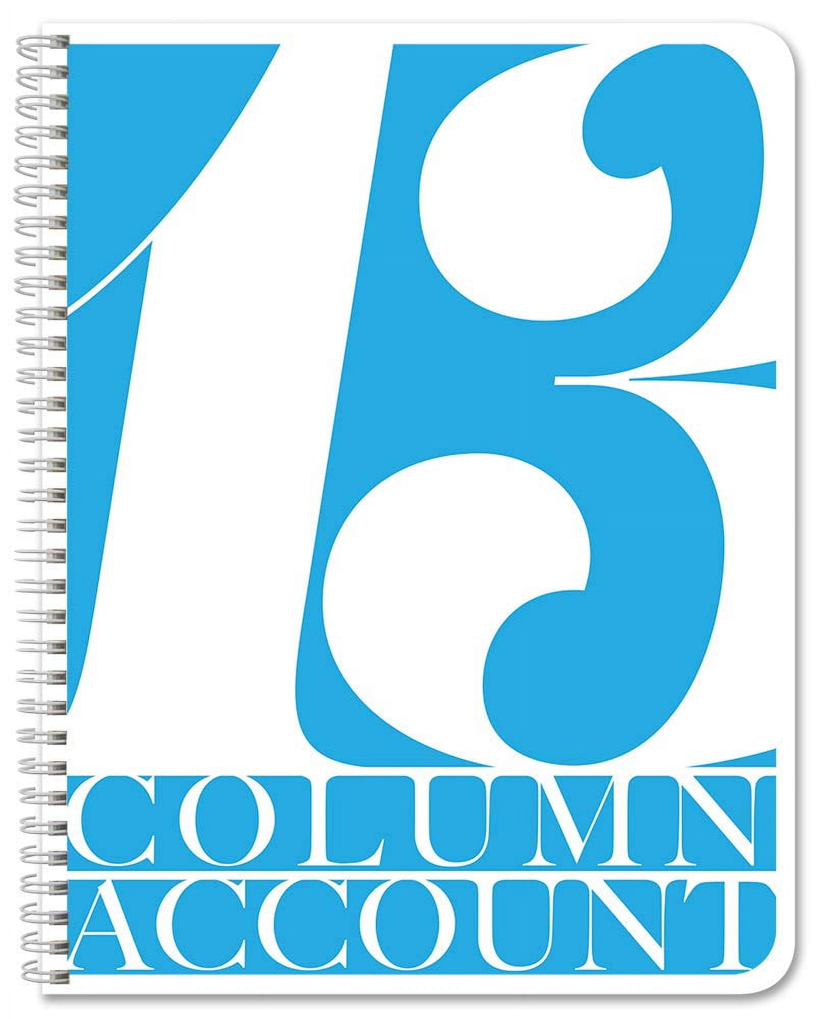 BookFactory 13 Column Ledger Book/Account Book/Accounting Ledger ...