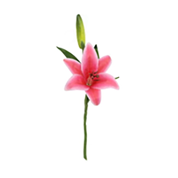 Bookker 6pcs Real Lilies With Buds Color (White Yellow Purple) Silk For ...