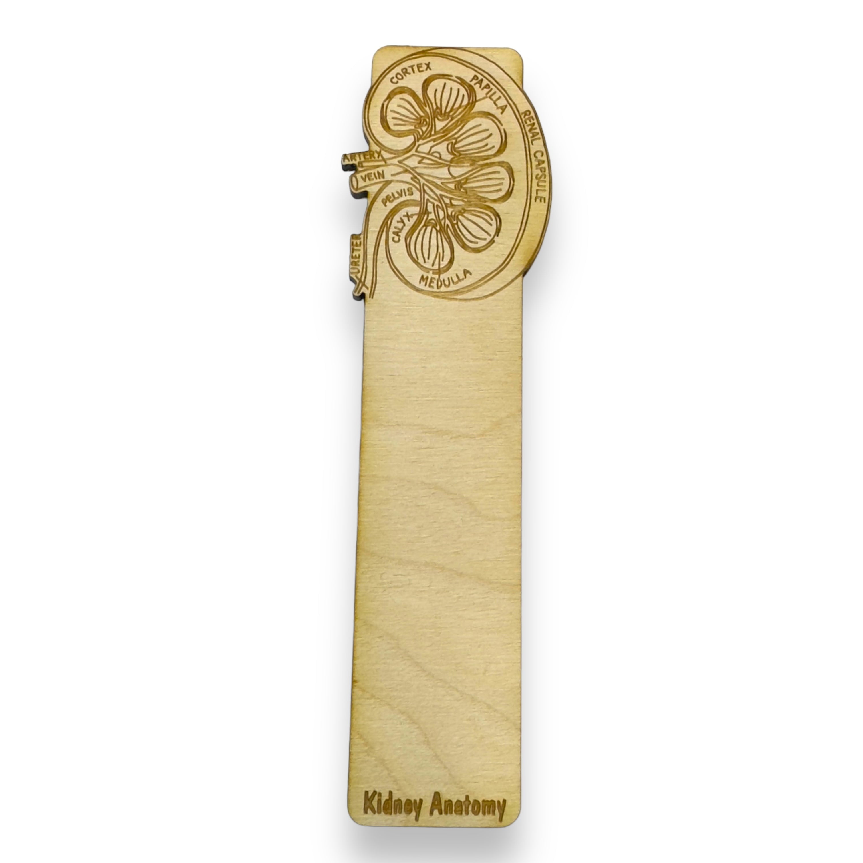 Bookmark - Kidney Anatomy - Birch wood - Walmart.com