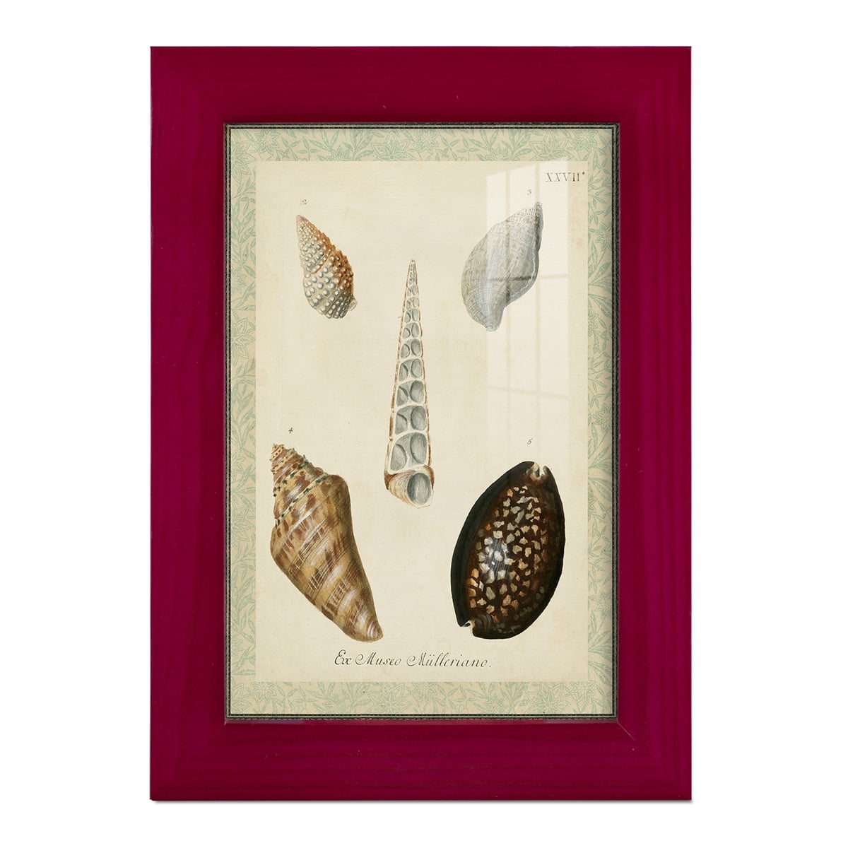 Bookplate Shells IX - Framed Print w/glass - Cherry Red - Walmart.com