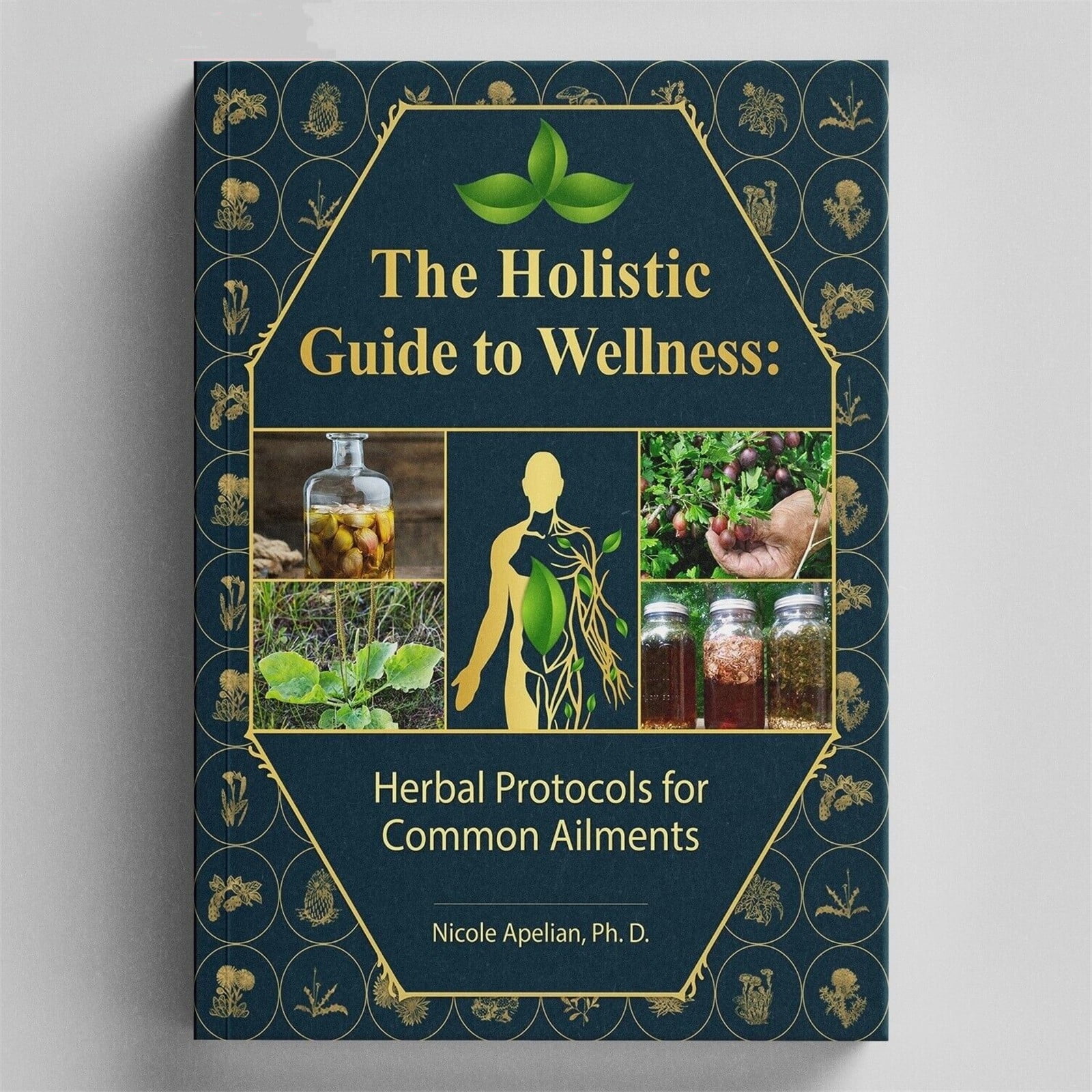 Books Clearance The Holistic Guide to Wellness: A Comprehensive Resource for 45 Herbs & Their ...