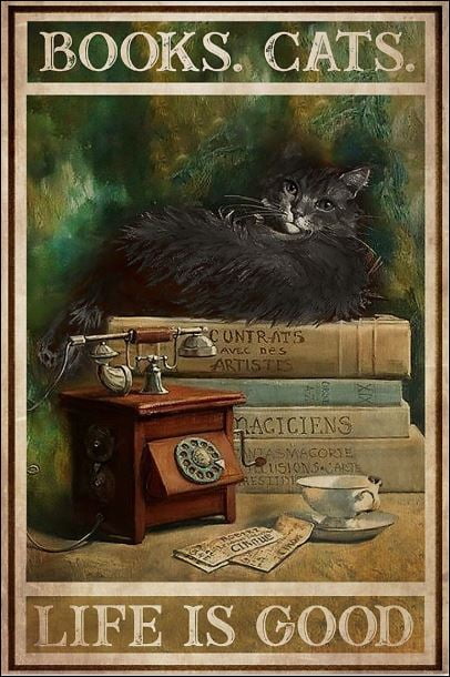 Books cats life is good poster 24 x 36 Inch Poster - Walmart.com