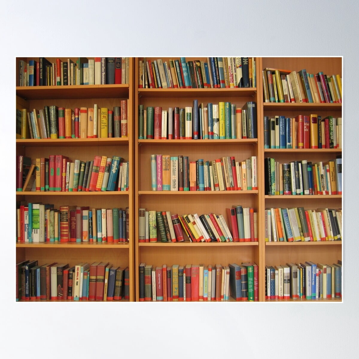 Bookshelf Books Library Bookworm Reading Poster Wall Art, Modern Wall ...