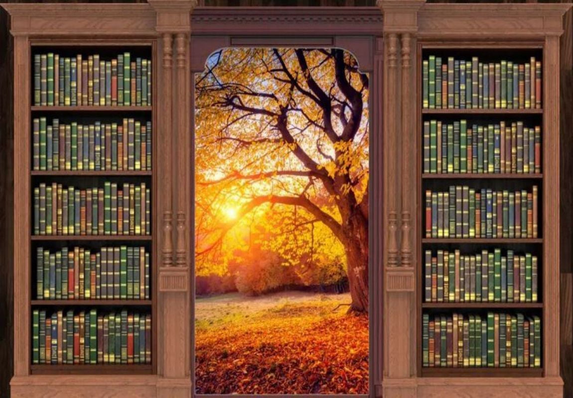 Bookshelf Library Photo Background Collection Party Read Books ...