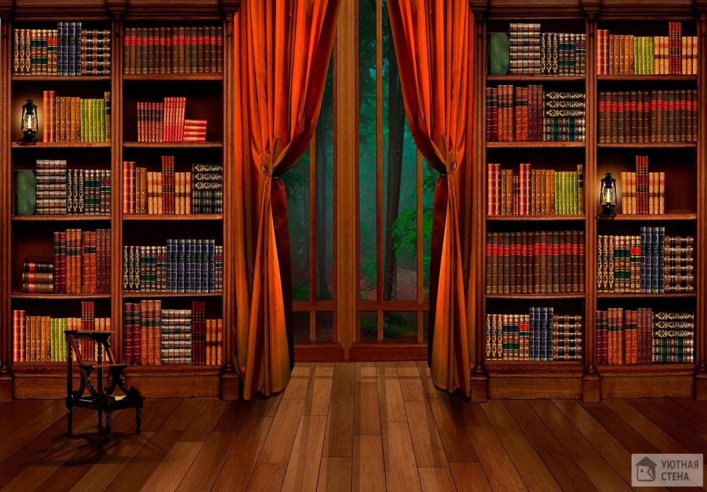 Bookshelf Library Photo Background Collection Party Read Books ...