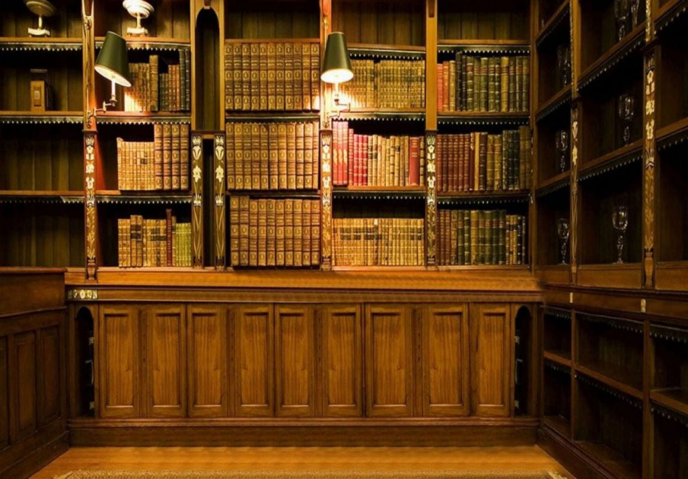 Bookshelf Library Photo Background Collection Party Read Books ...