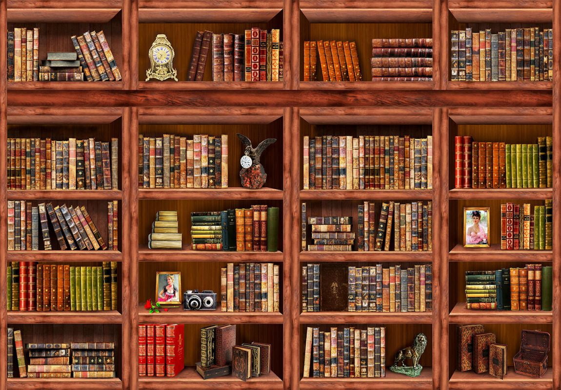 Bookshelf Library Photo Background Collection Party Read Books ...