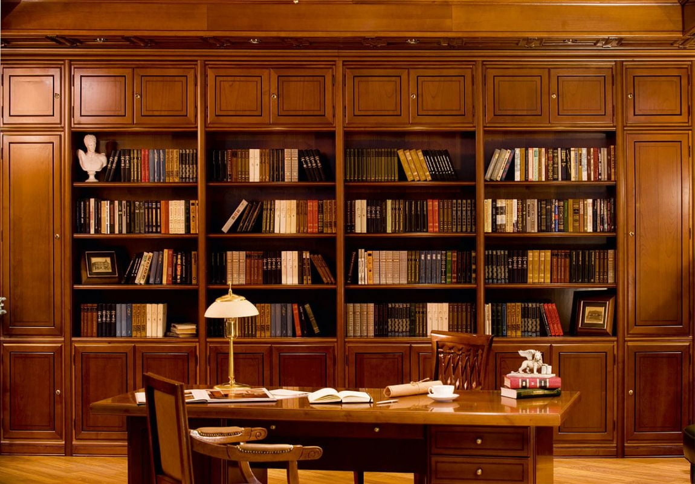 Bookshelf Library Photo Background Collection Party Read Books ...