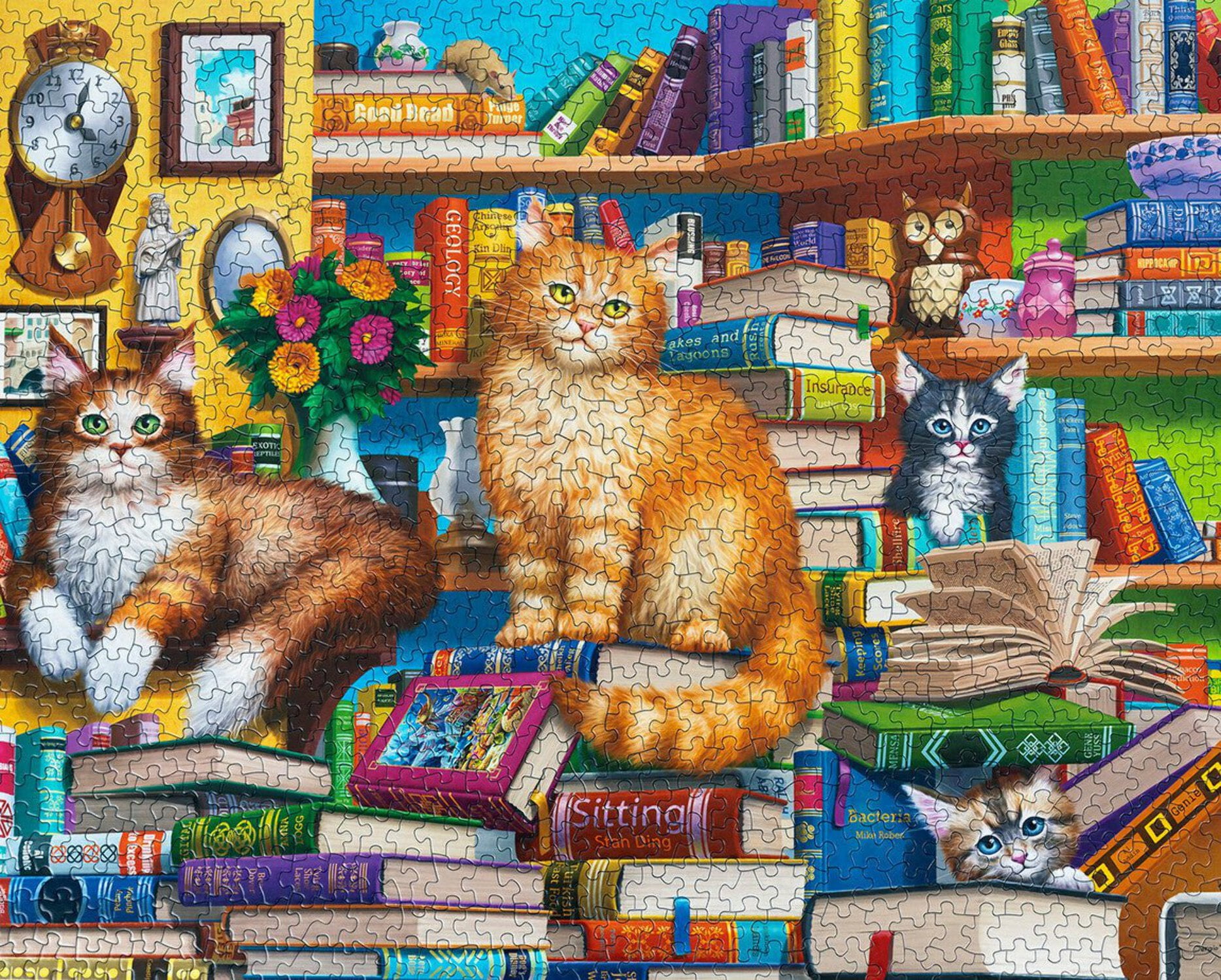 Bookshop Cats 1000 Piece Puzzle Springbok - Walmart.com
