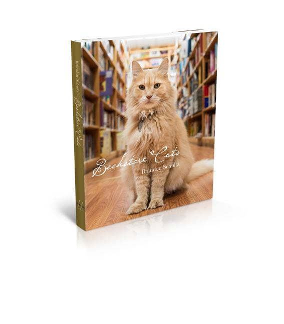 Bookstore Cats (Hardcover) - Walmart.com
