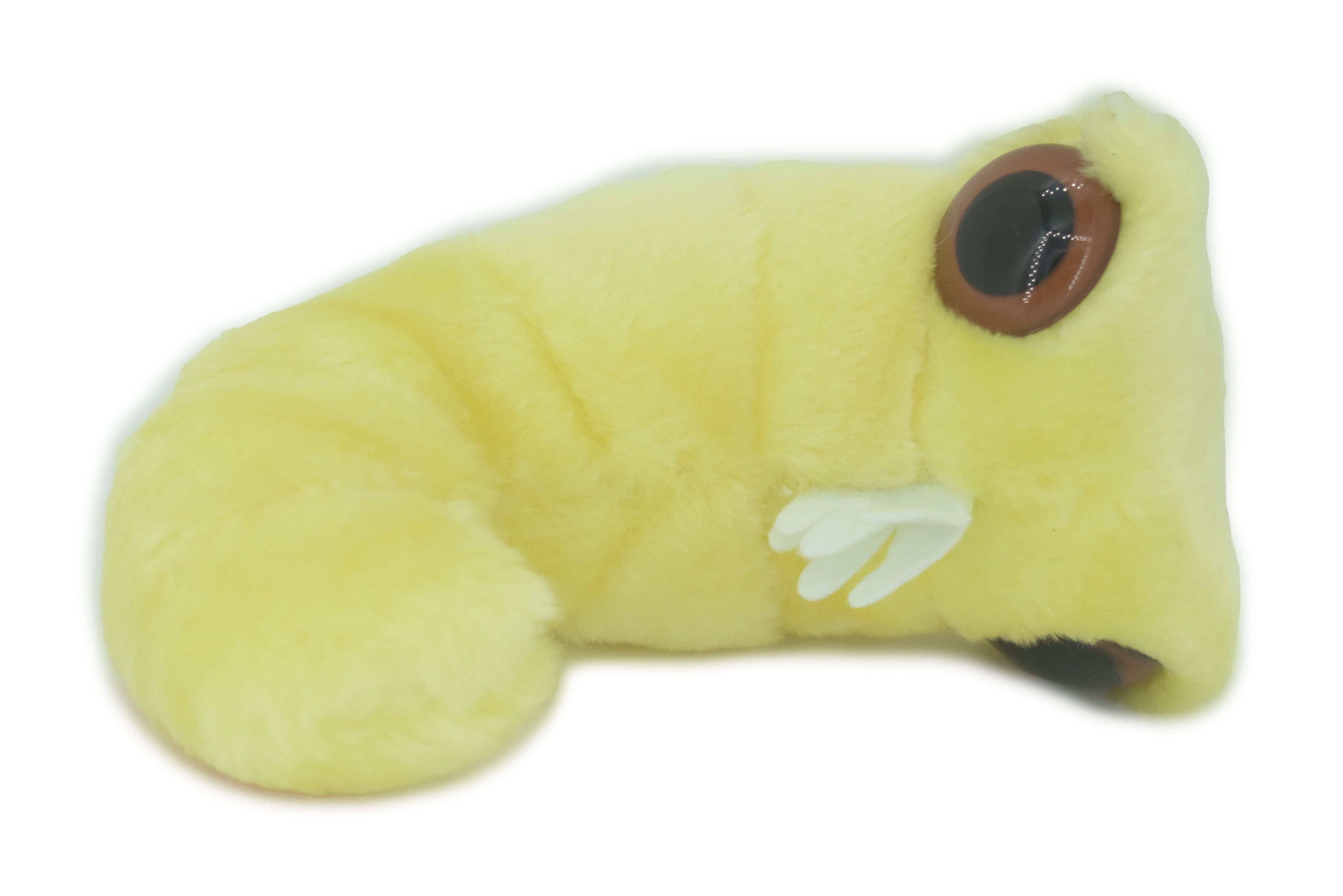 Bookworm Plushy, Anobium punctatum Plush Booklice Toy, Microorganisms ...