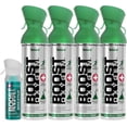 Boost Oxygen Canned 4 Portable 10 Liter Natural Oxygen Canister Bottle ...