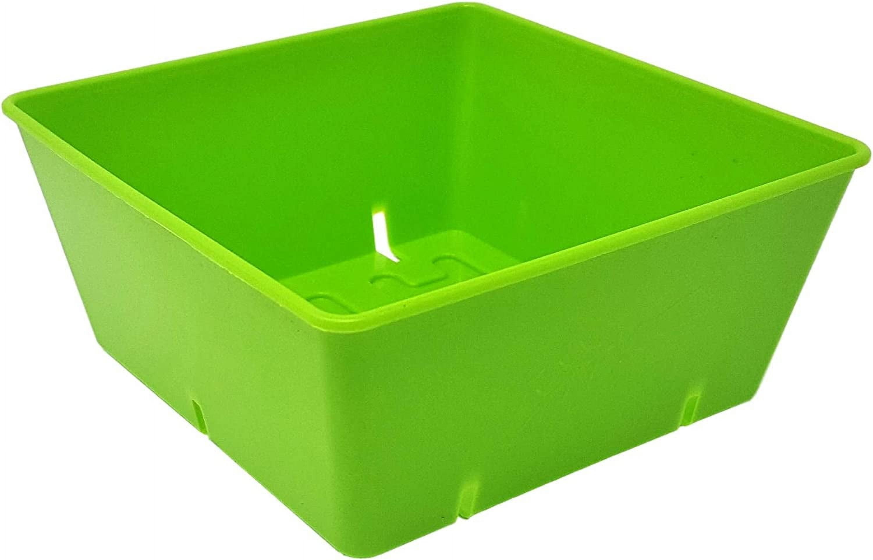 Bootstrap Farmer 5x5 Seed Tray Green - 40 Pack - Extra Strength 5 x 5 Inserts Grow Microgreens ...