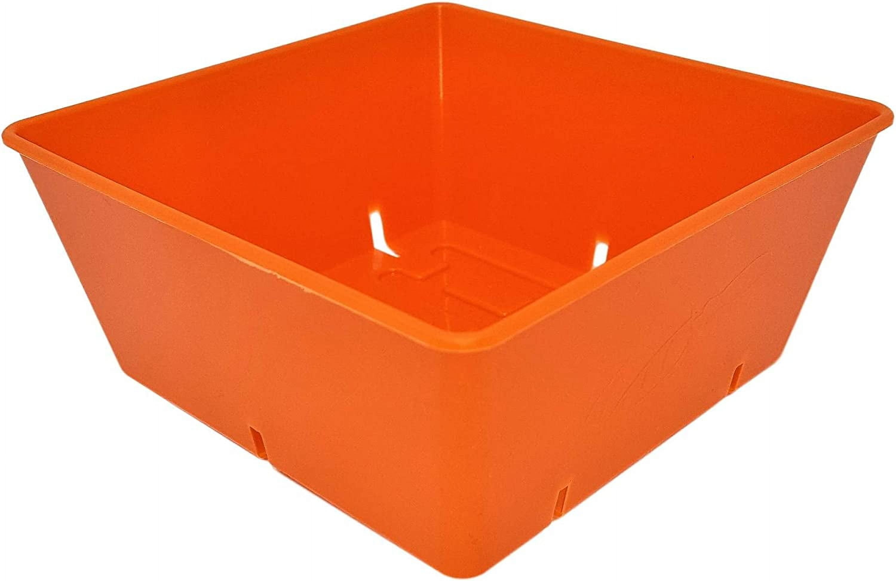 Bootstrap Farmer 5x5 Seed Tray Orange - 40 Pack - Extra Strength 5 x 5 ...