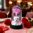 Boovnll Glass Rose, Colorful Silk Rose Teddy Bear in Glass Dome with ...