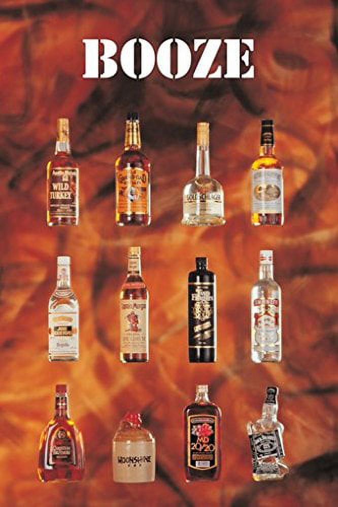Booze Poster Funny Alcohol Bottles Collage New 24x36 - Walmart.com