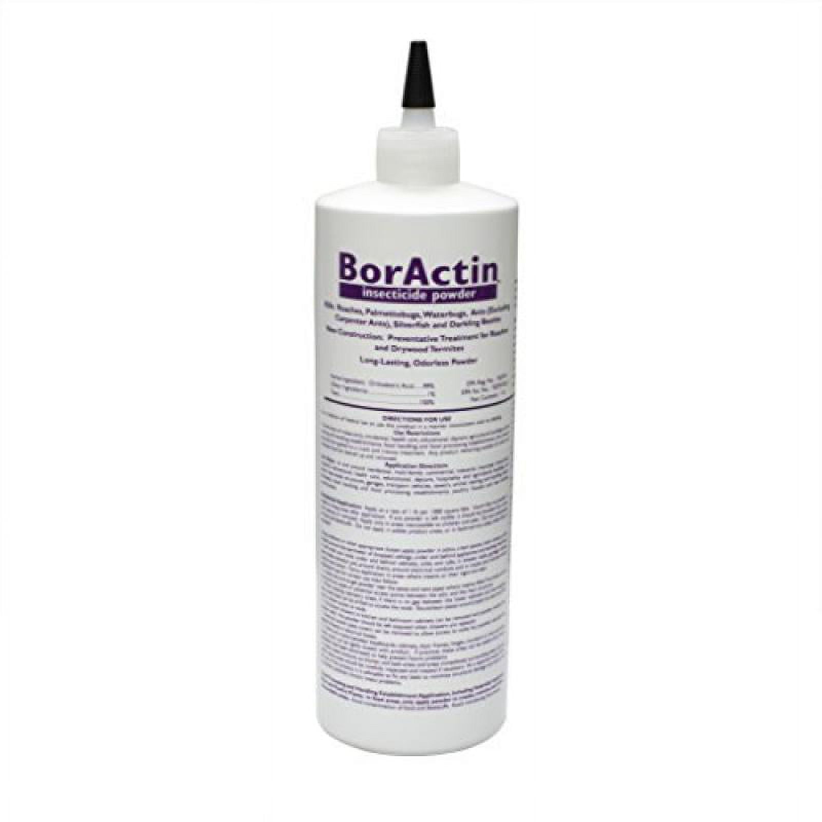 Rockwell Labs Boractin Insecticide Dust - Multi-Use Pest Control for ...