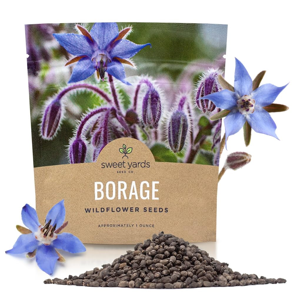 Borage Seeds - Extra Large Packet ZLK1 - Over 1,200 Open Pollinated Non ...