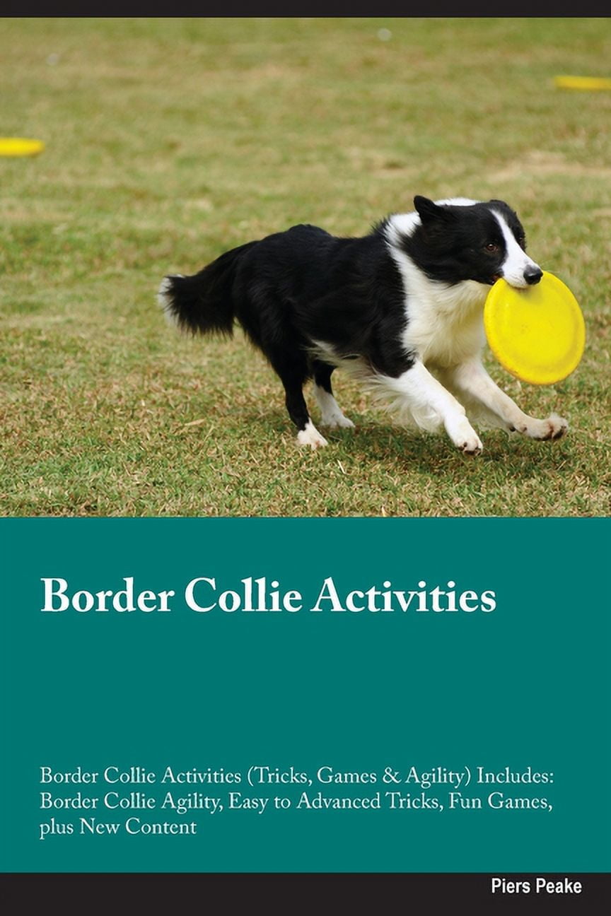 Border Collie Activities Border Collie Activities (Tricks, Games ...
