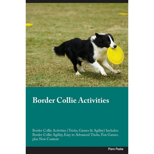 Border Collie Activities Border Collie Activities (Tricks, Games ...