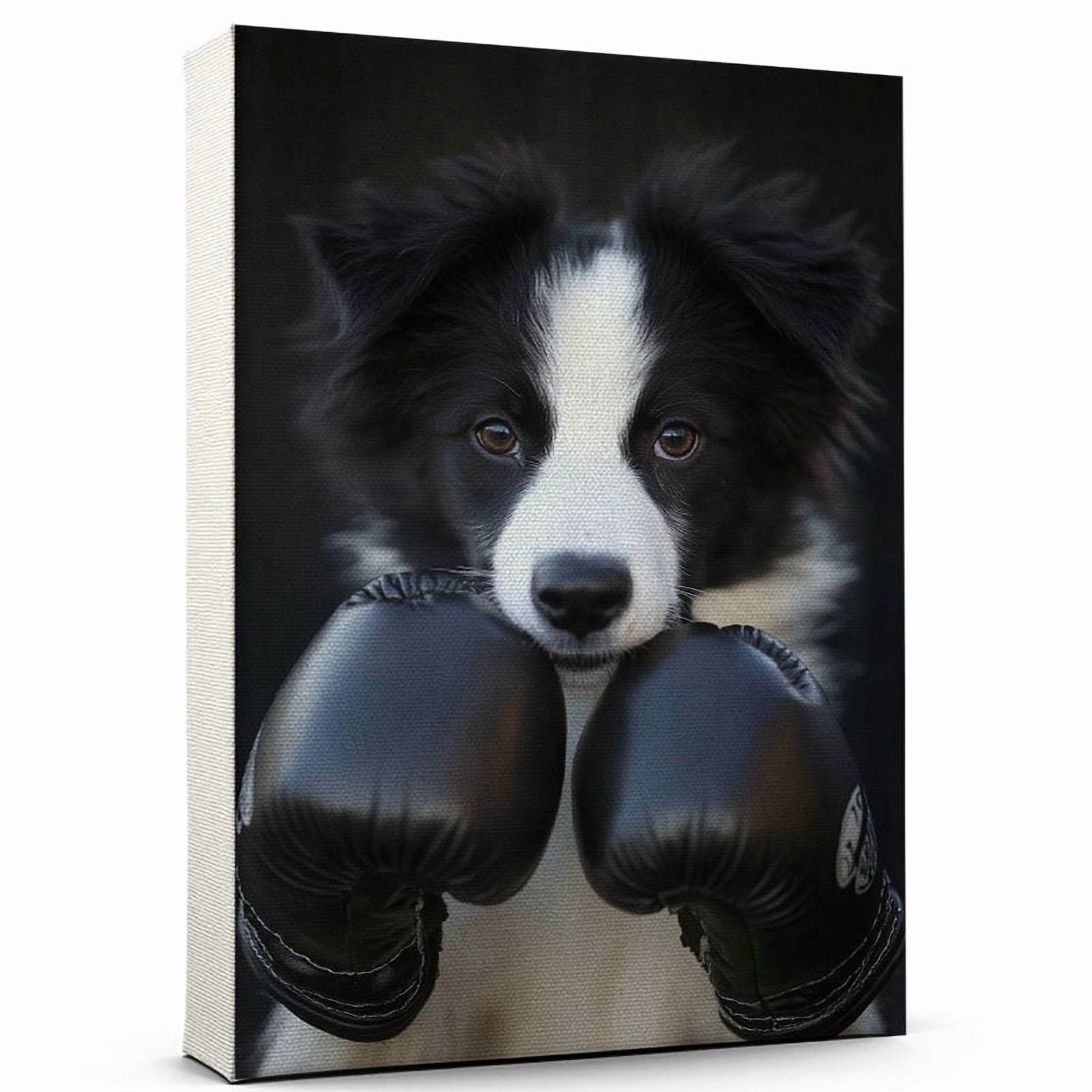 Border Collie Cute Dog Boxing Stretched Canvas Size 8x12 – Retro Border ...